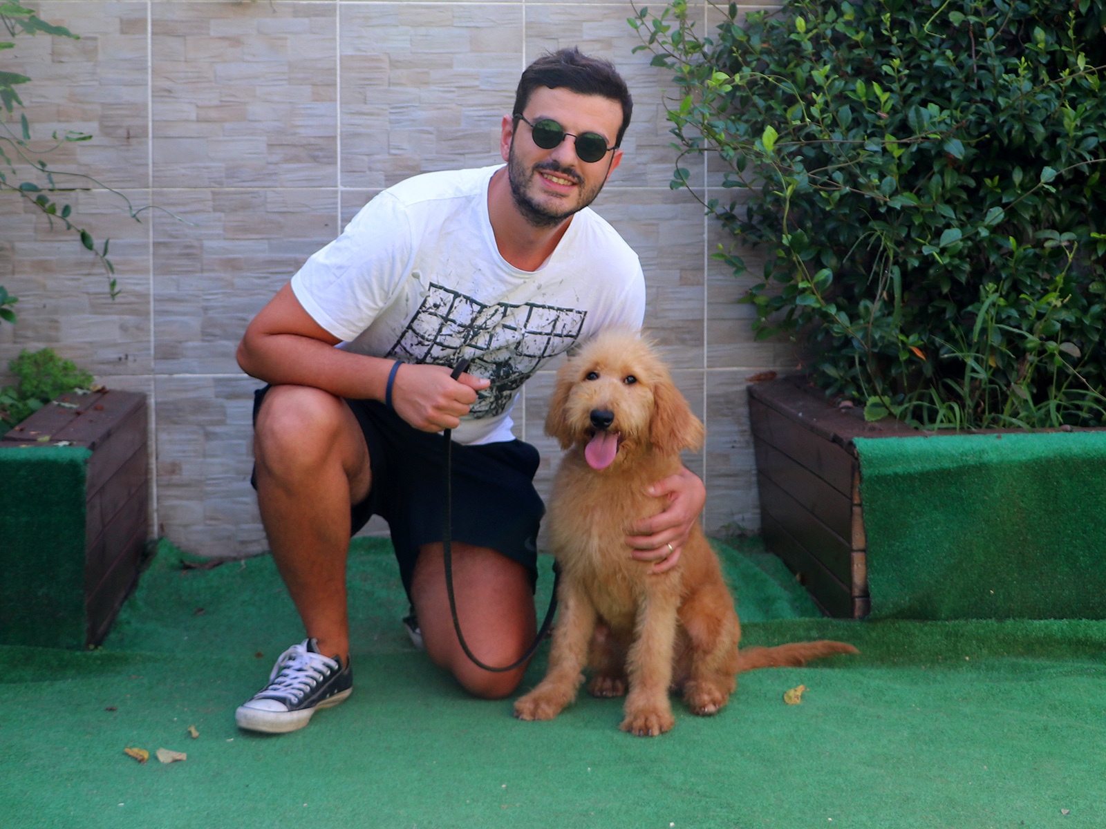 Okatar ailesi Labradoodle dostları Loki'ye kavuştu - Elit Yavru