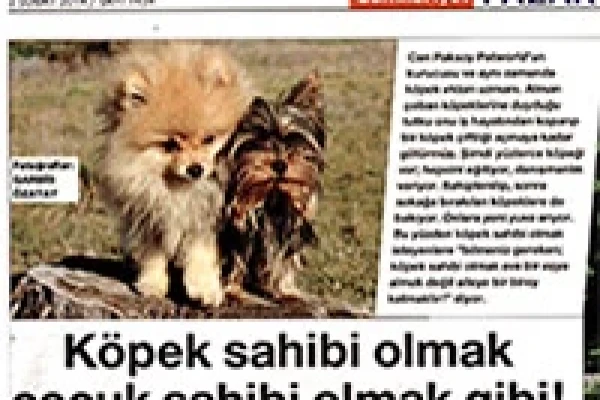 Cumhuriyet Pazar'da Can Paksoy'un köpek sevgisi röportajı - Elit Yavru