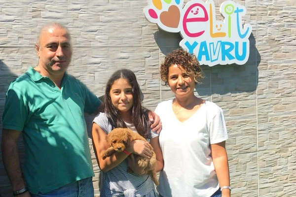 Ankara'dan Ümit Bey ve Ailesi, Toy Poodle sahibi oldu - Elit Yavru