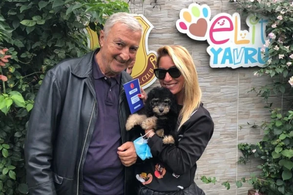 Aziz bey ve ailesi Black and Tan Poodle yavrularına kavuştular - Elit Yavru