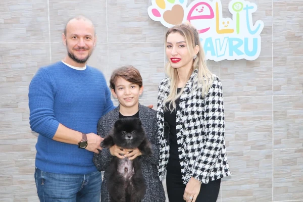 Bursa'dan Murat Bey, Pomeranian elit yavrularına kavuştu - Elit Yavru