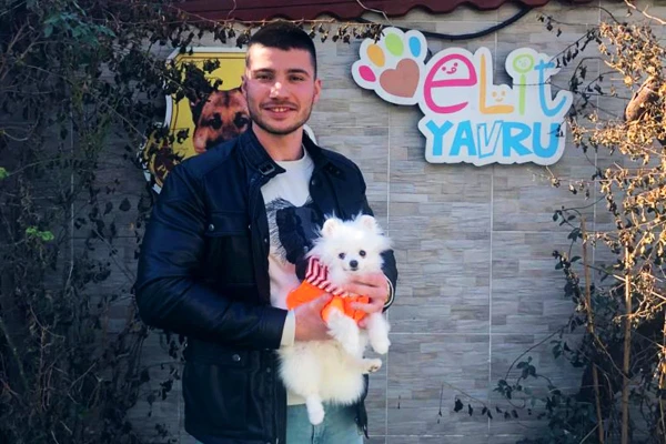 Denizli'den Hüseyin bey Teacup beyaz Pomeranian yavrusuna kavuştu - Elit Ya...