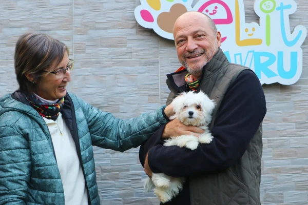 Gökhan Andaç ve Ailesi, Maltese yavrularıyla çok mutlu - Elit Yavru