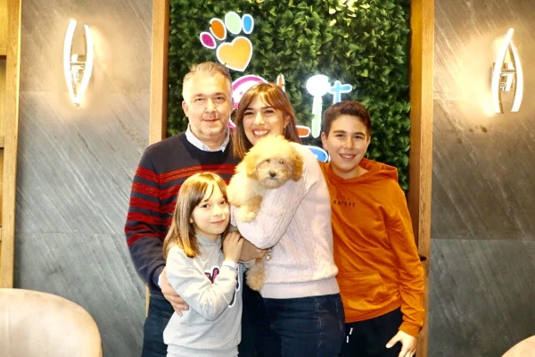 İzmir'den İrem Hanım ve ailesi Poodle yavrularına kavuştular - Elit Yavru