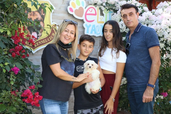 Semra hanım ve ailesi Morkie yavrularına kavuştular - Elit Yavru