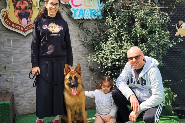 Urcanlı ailesinin yeni üyesi CHARLIE - Elit Yavru Urcanlı ailesinin yeni üyesi CHARLIE - Elit Yavru