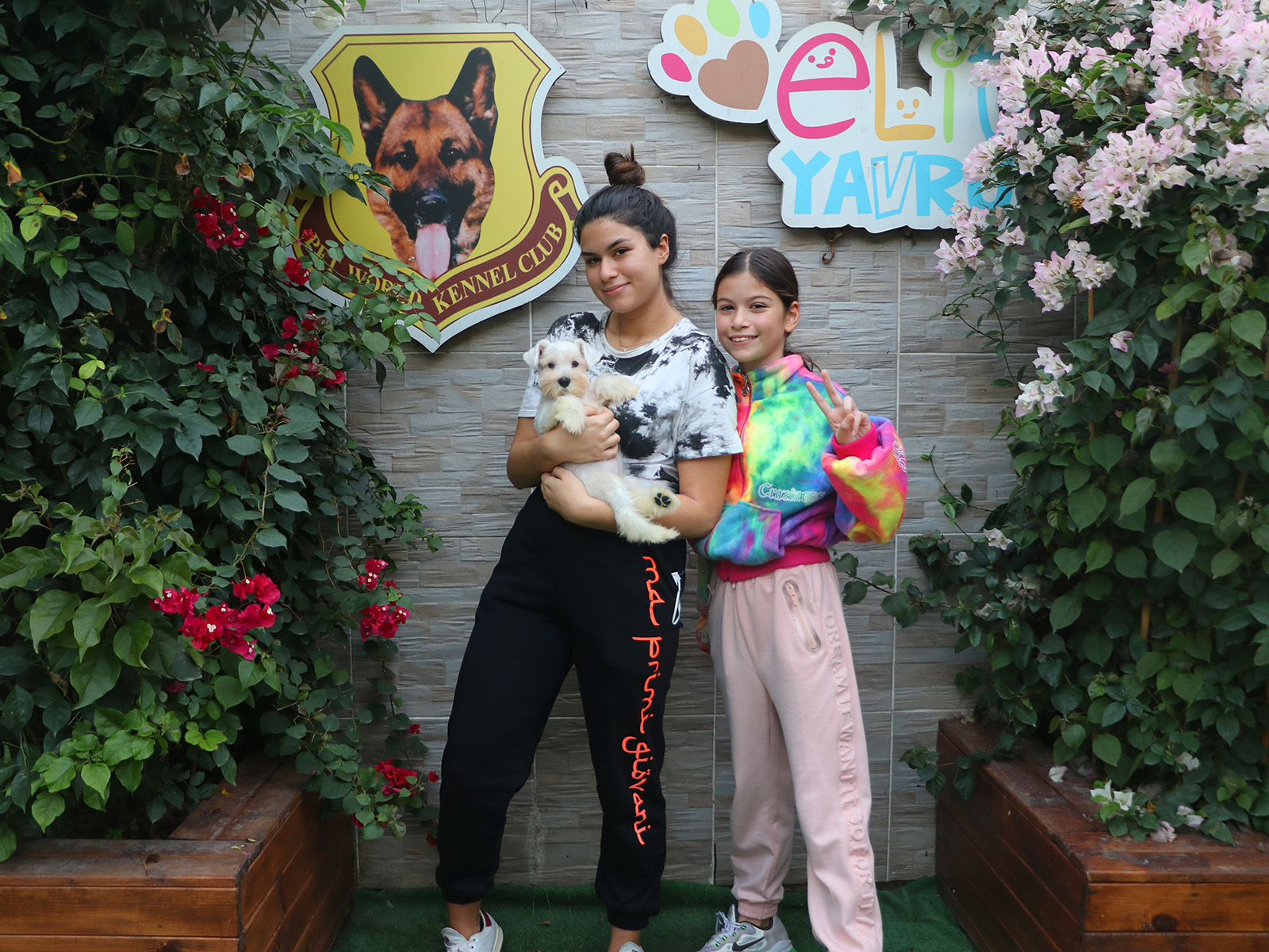 Emre Kurtoğlu ve ailesi Schnauzer Yavrularına kavuştular - Elit Yavru